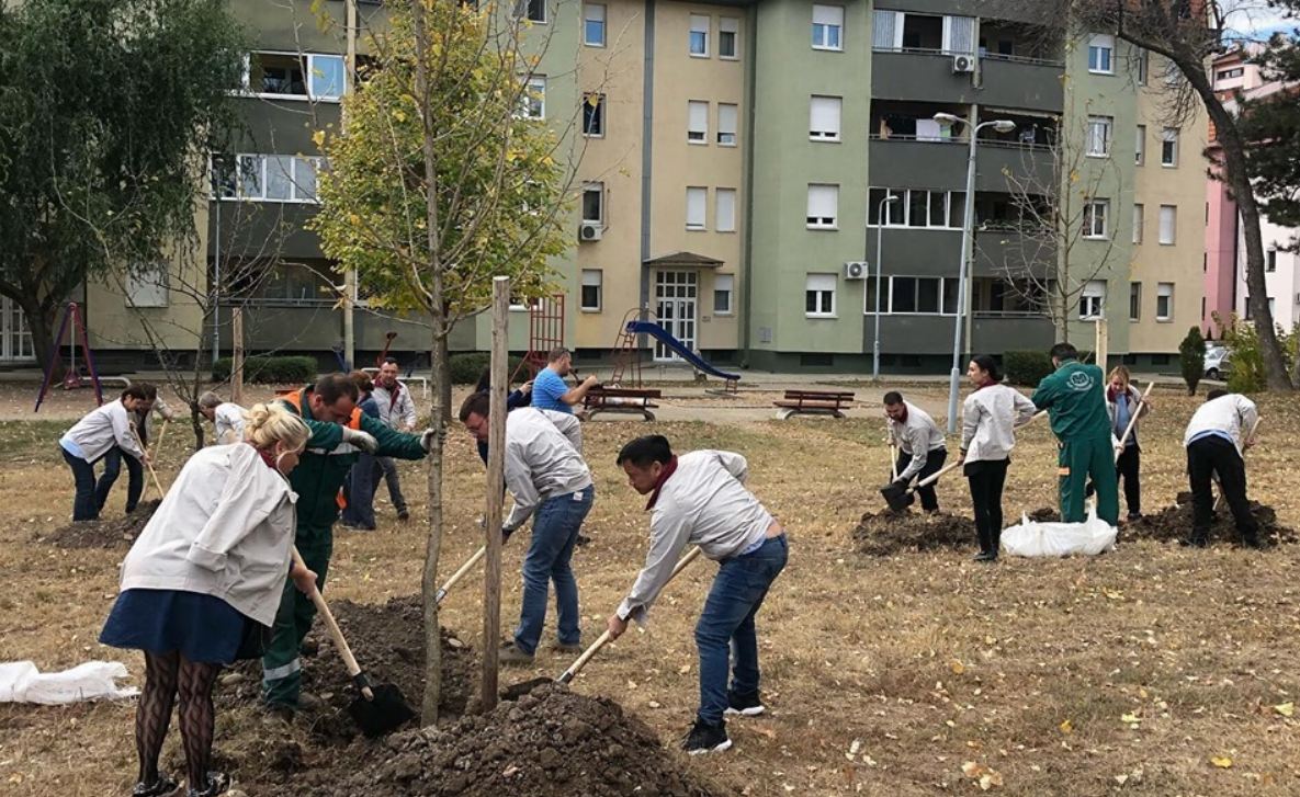 Niš počeo da diše: U toku akcija sadnja stabala na pet lokacija
